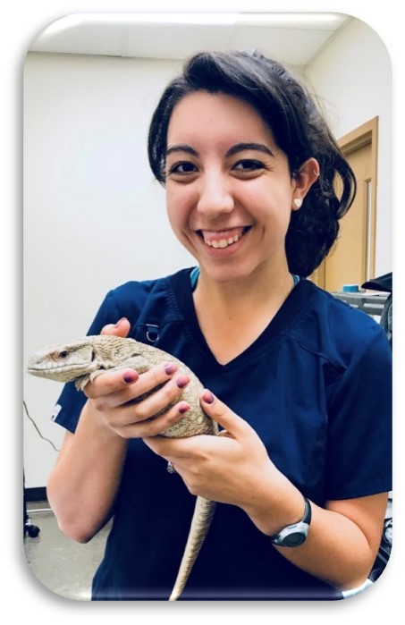 Marcella Walther, LVT | Texas A&M University Kingsville